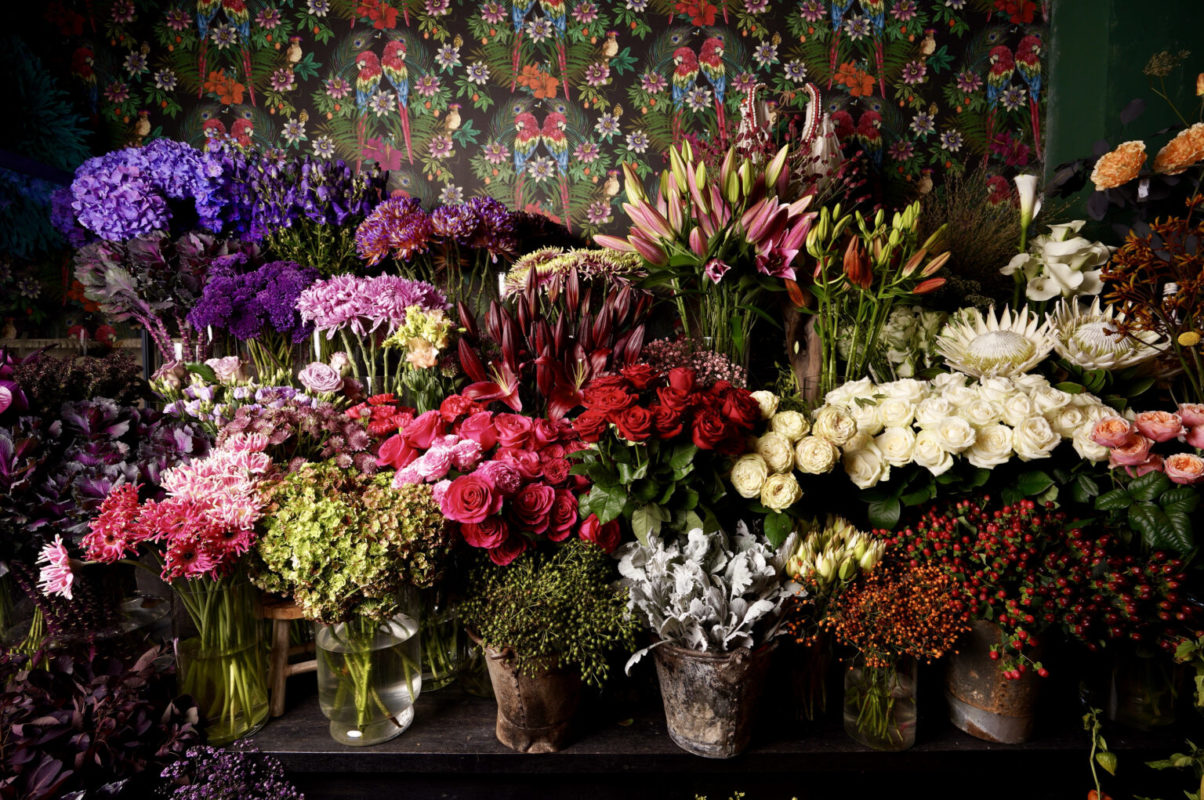 FLOWERS - Blumen Abo By Thomas SEITH.